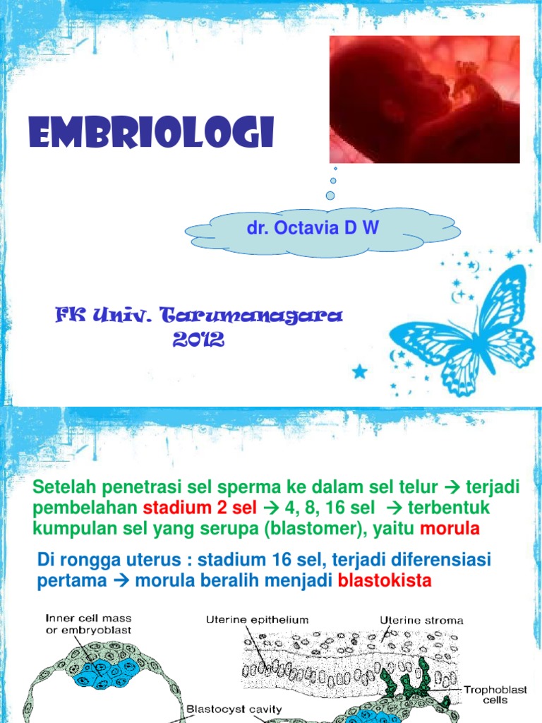 Embriologi Rangka | PDF | Kesehatan Holistik