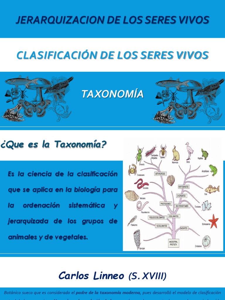CLASE Clasificacion de Los Seres Vivos TAXONOMIA | Organismos | Taxa