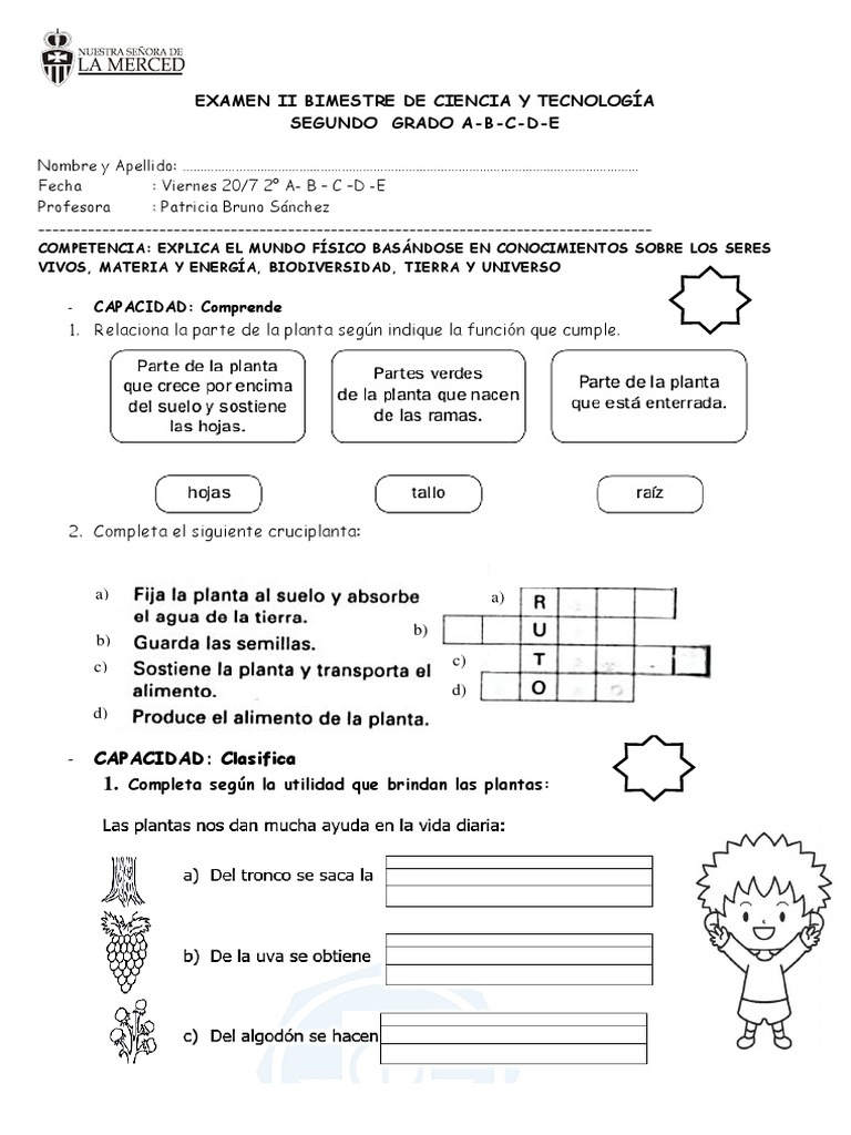 Examen de Ciencia y Tecnologia II Bimestre | PDF | Importar | Science
