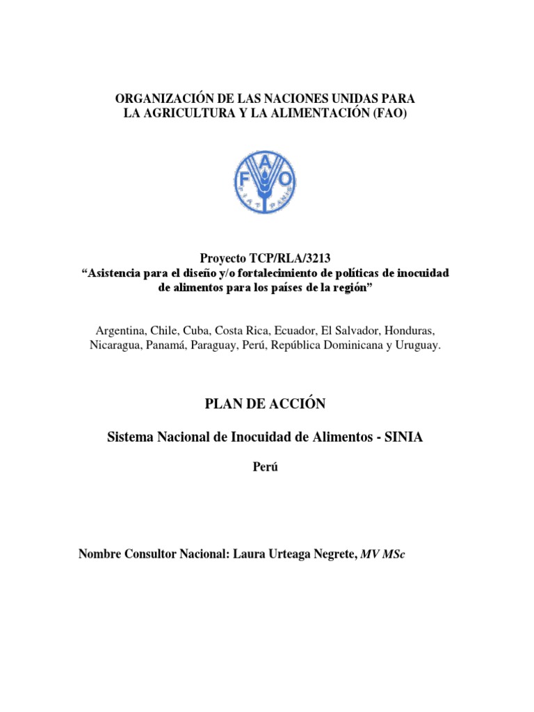 Informe Plan de Accion PDF | PDF | Alimentos | Laboratorios