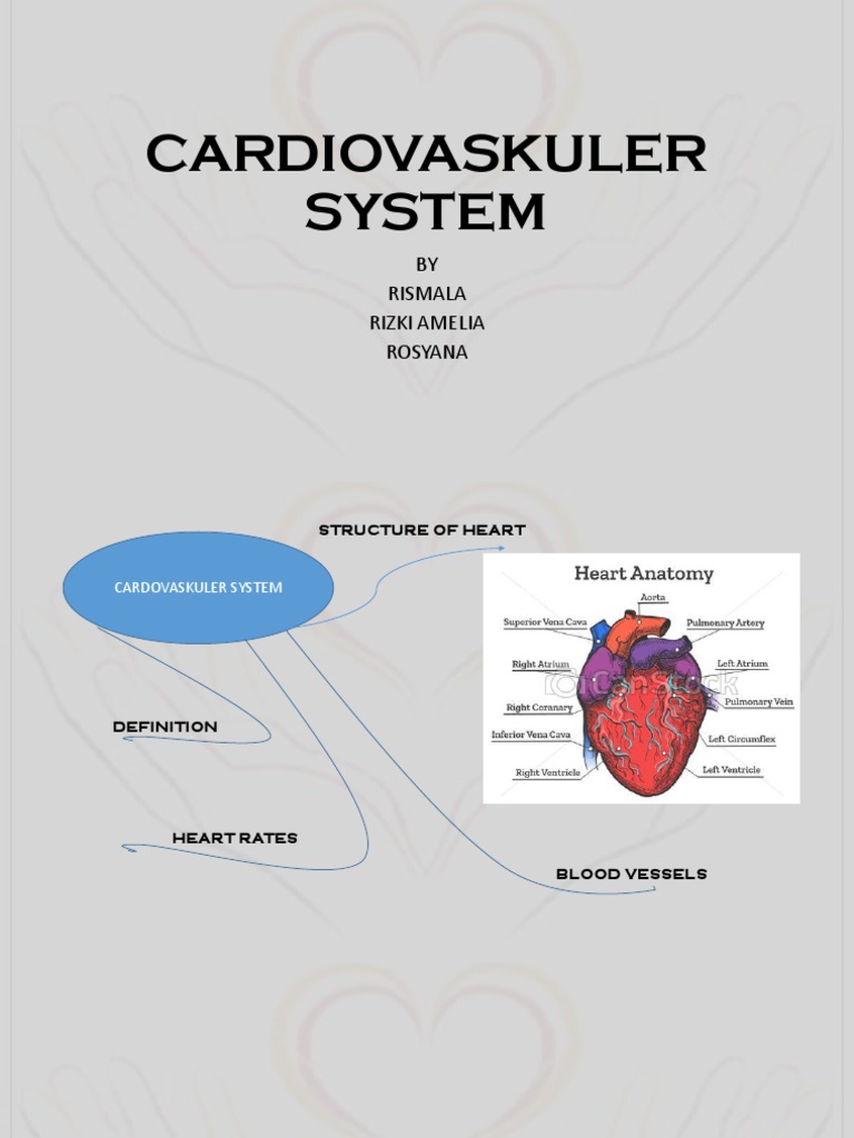 Cardiovaskuler System: BY Rismala Rizki Amelia Rosyana | PDF
