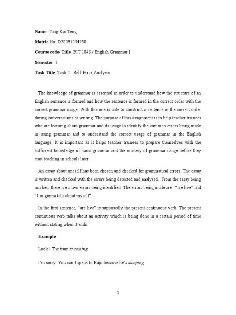 Task 2 Self-Error Analysis | PDF | English Language | Verb