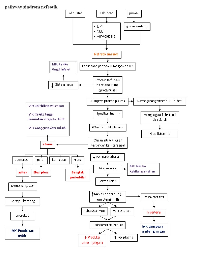 Pathway Sindrom Nefrotik | PDF