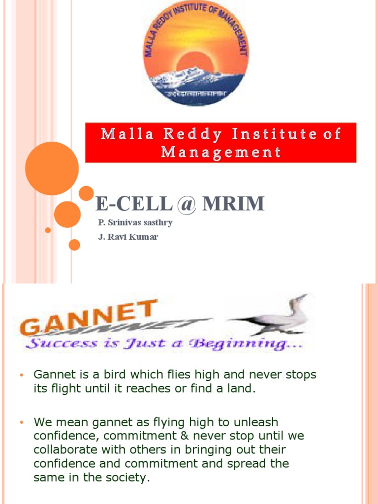 E-Cell at MRIM | PDF