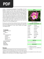 Rose Classification | PDF | Botany | Horticulture And Gardening