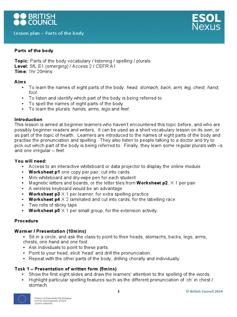 Body Parts Lesson Notes | PDF | Cognition | Communication