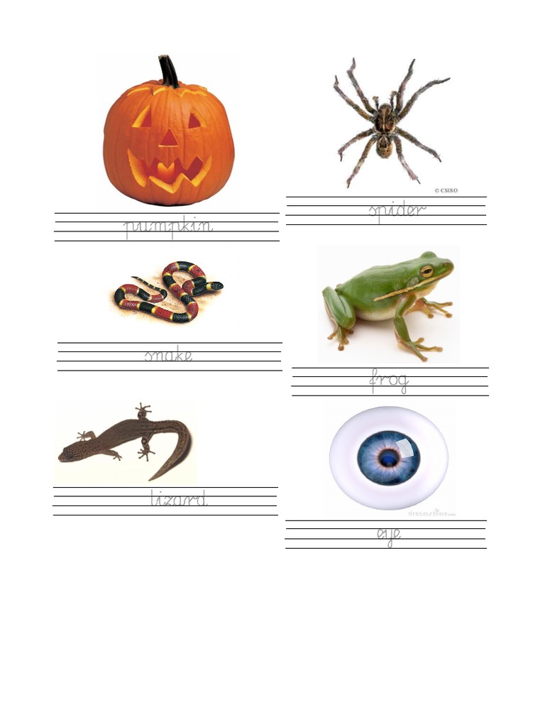 Words Hall | PDF | Science & Mathematics