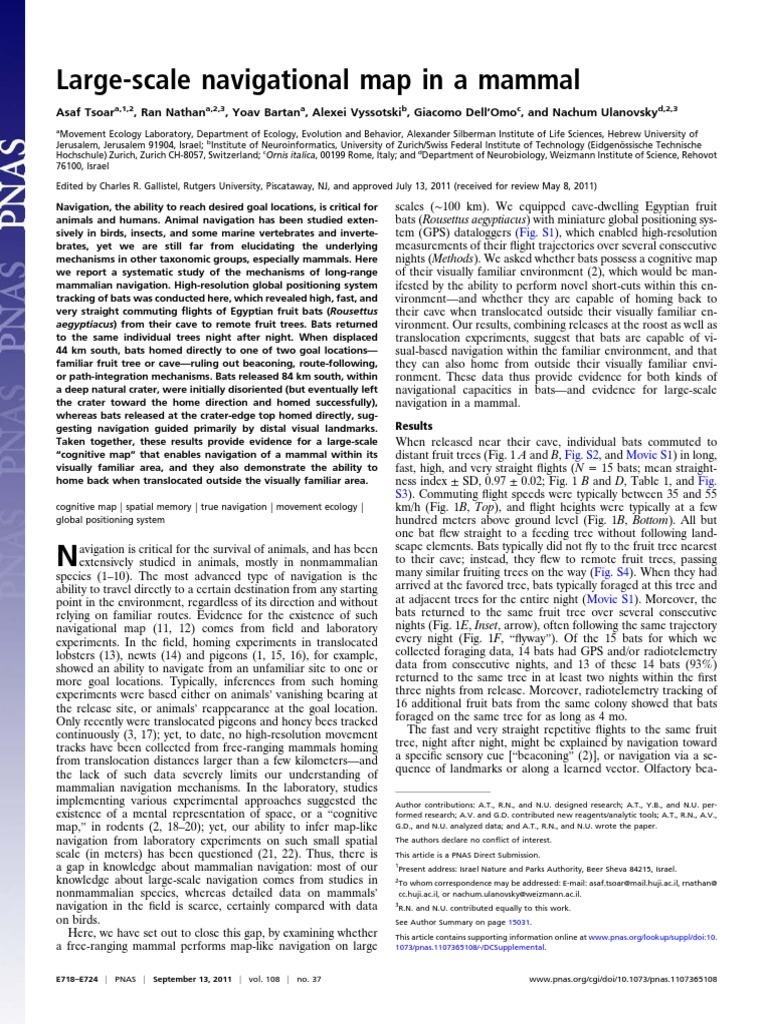 Large-Scale Navigational Map in A Mammal | PDF | Bat | Navigation