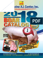 Pagbababuyan | PDF