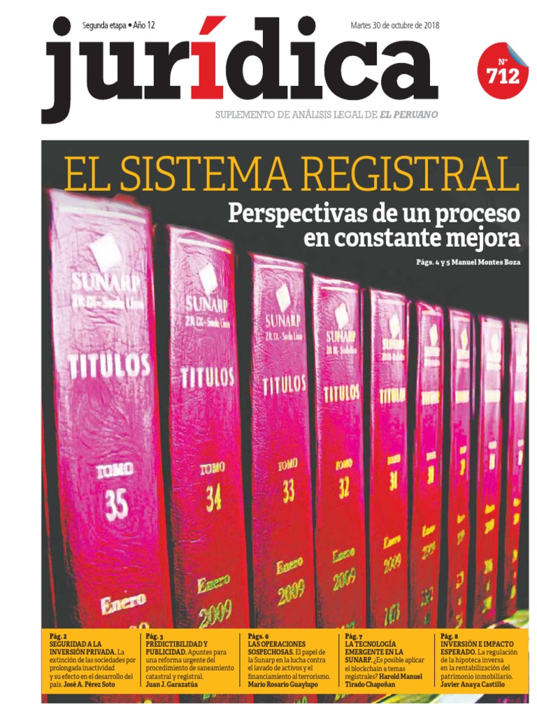 EL SISTEMA REGISTRAL: Perspectivas de Un Proceso en Constante Mejora ...