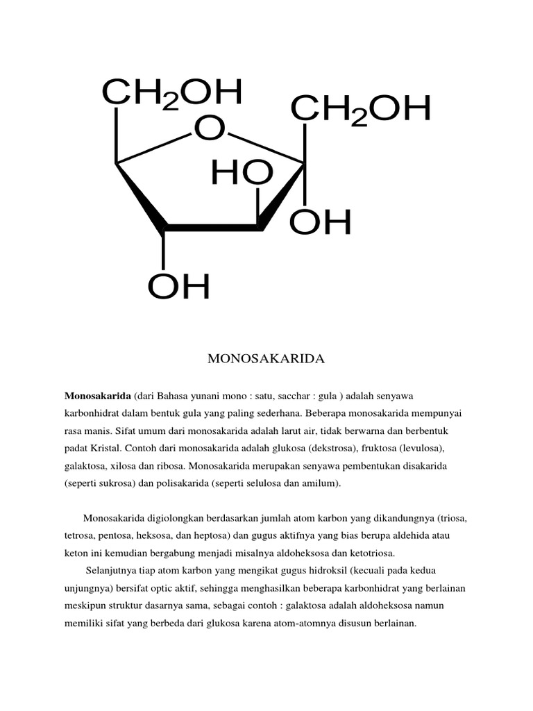 STRUKTUR MONOSAKARIDA | PDF