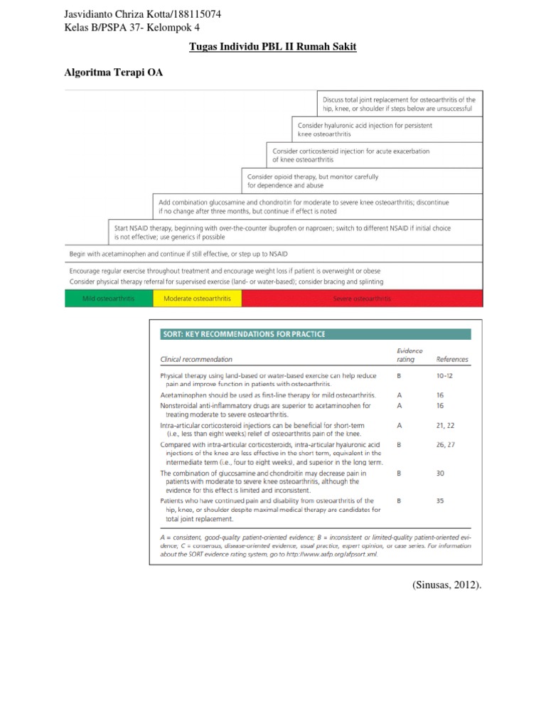 Algoritma Terapi Osteoarthritis | PDF | Kesehatan Holistik