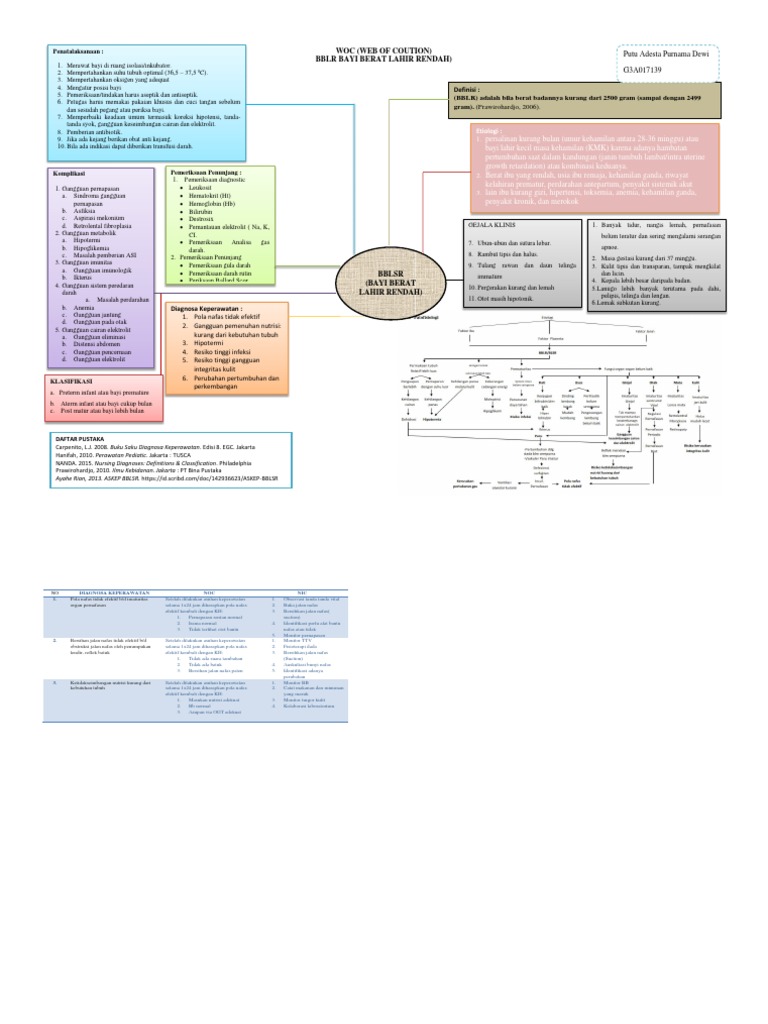 Woc BBLR | PDF