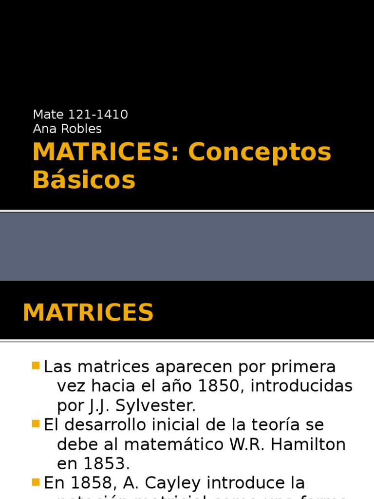MATRICES Conceptos Básicos | PDF | Matriz (Matemáticas) | Análisis ...
