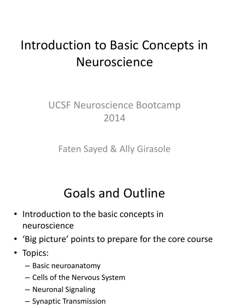 Neuroscience Basics: Cells & Signaling | PDF | Chemical Synapse ...