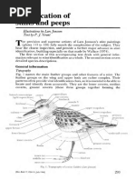 Bto Bird Species Codes | PDF