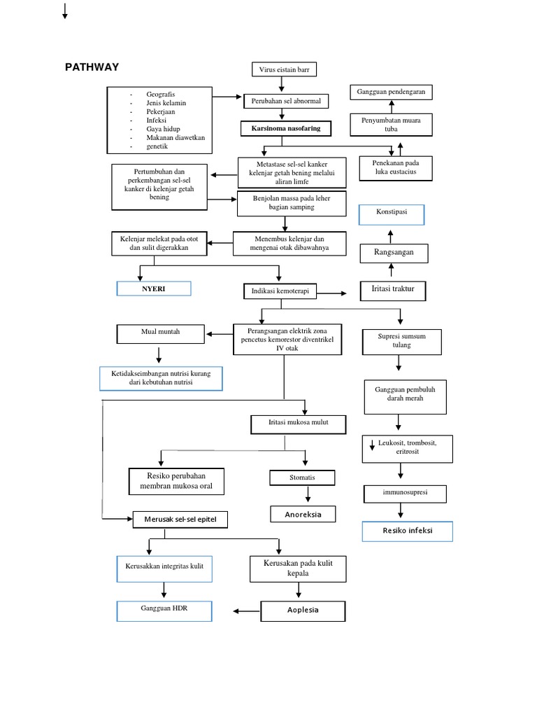 Pathway Ca Nasofaring | PDF
