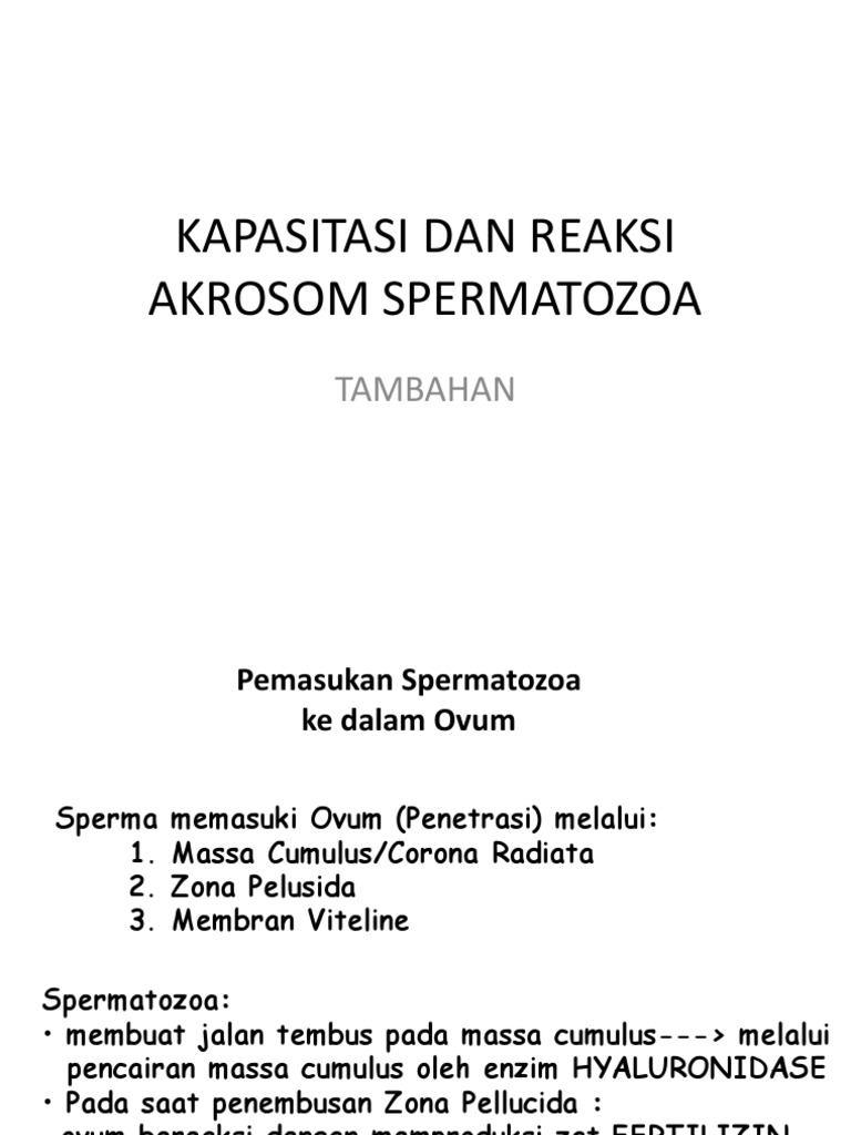 Kapasitasi Dan Reaksi Akrosom Spermatozoa Tambahan | PDF
