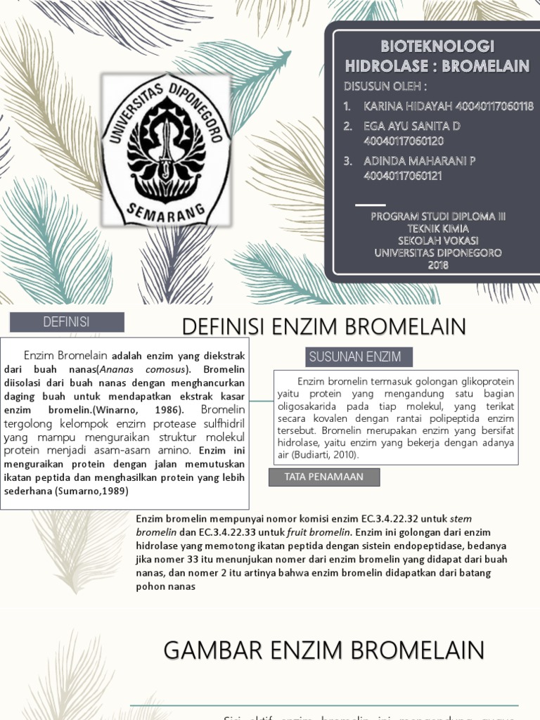 Enzim Bromelin | PDF