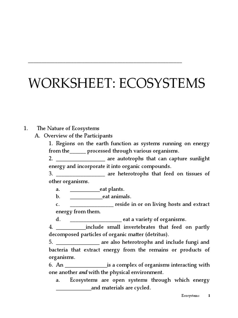 Worksheet Ecosystems | PDF | Food Web | Ecosystem