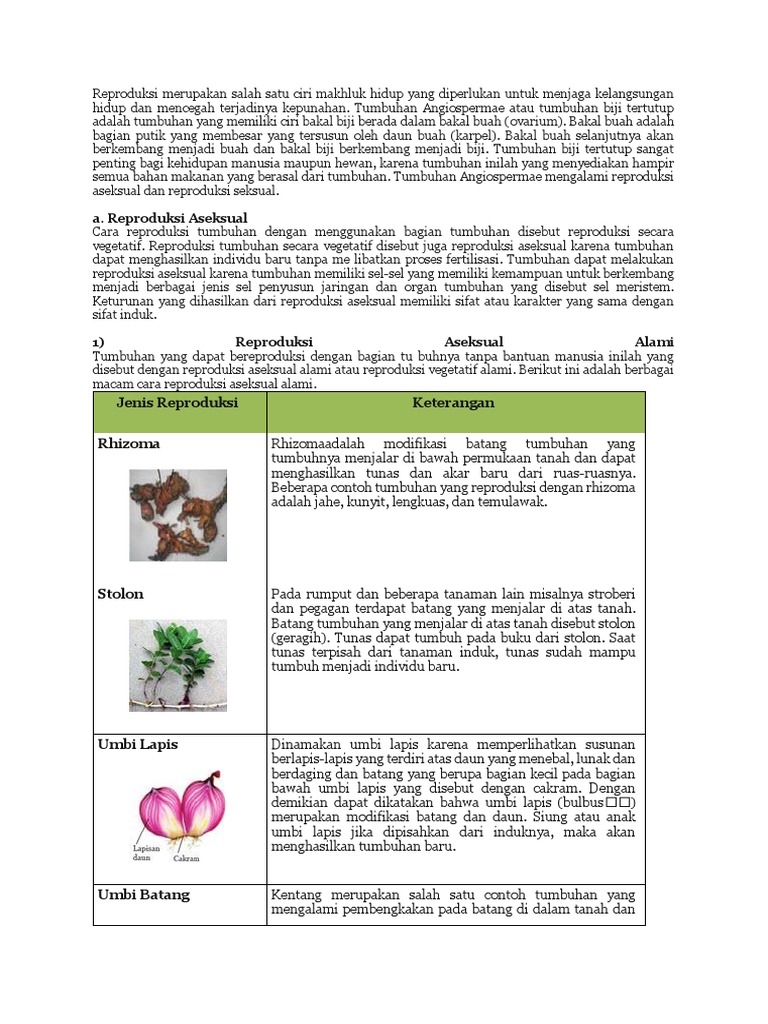 Reproduksi Seksual Dan Aseksual Pada Tumbuhan | PDF | Griya & Taman