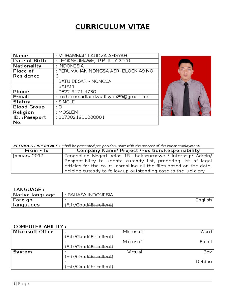 CV Lauza Edited | PDF | Software | Computing