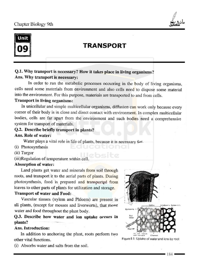 Important Notes of 9th Class Biology Chapter 9 | PDF