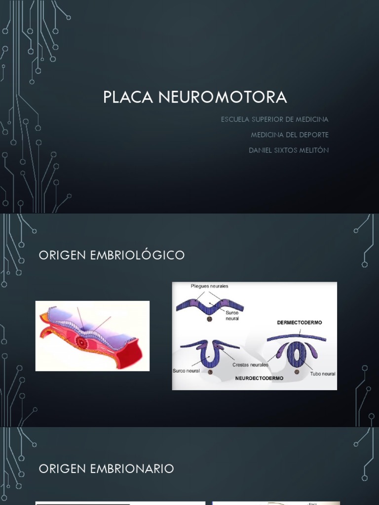 Placa Neuromotora | PDF | Ciencia y matemáticas