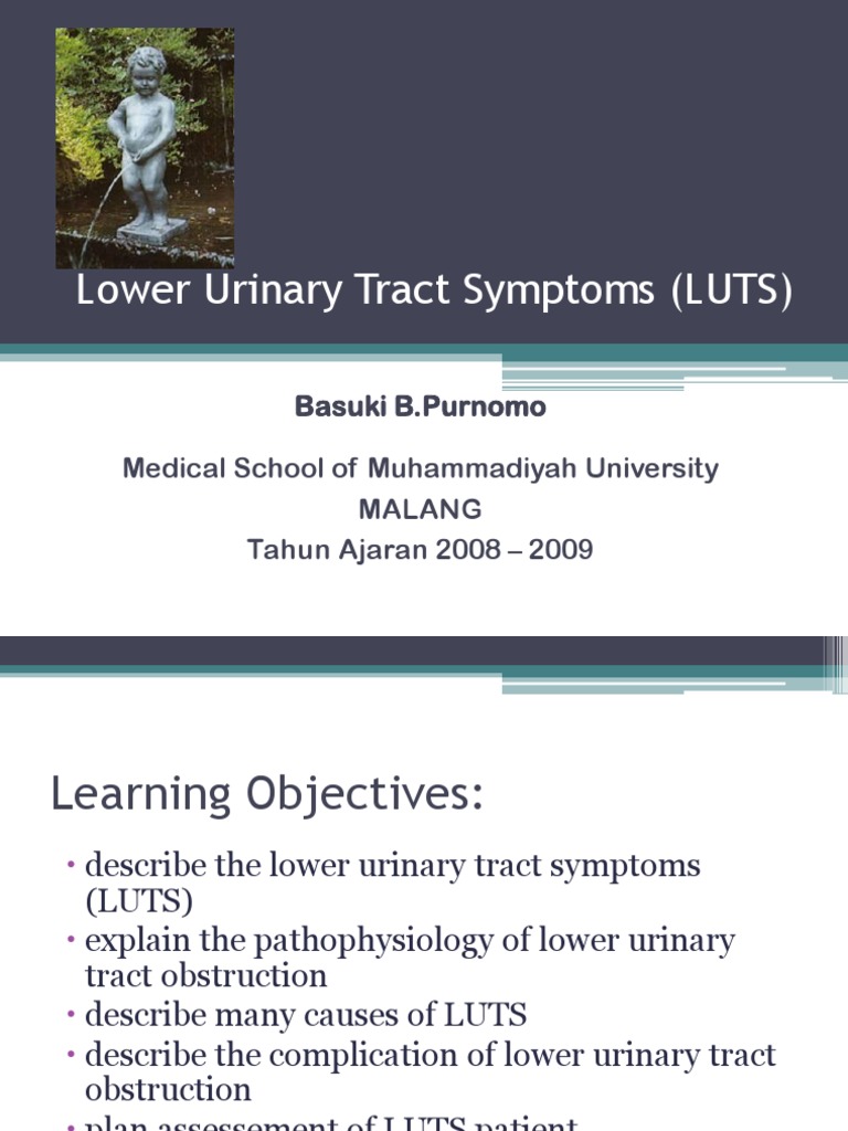Lower Urinary Tract Symptoms (LUTS) | Download Free PDF | Urination ...