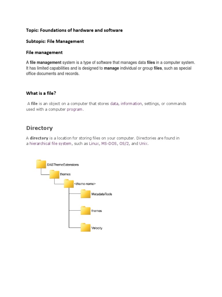 File Management Notes | PDF