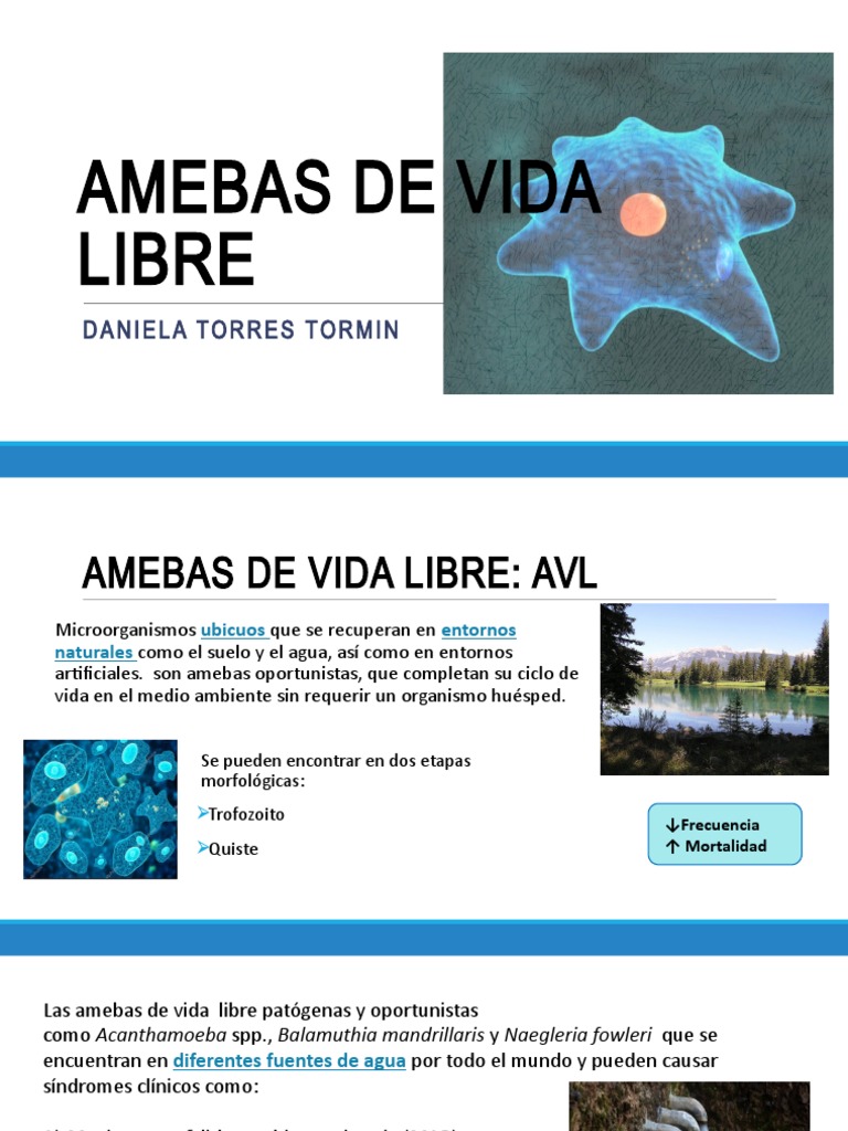 Amebas de Vida Libre | PDF | Biología | Especialidades Medicas