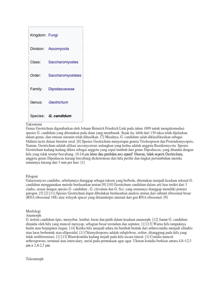 Geotrichum SP | PDF