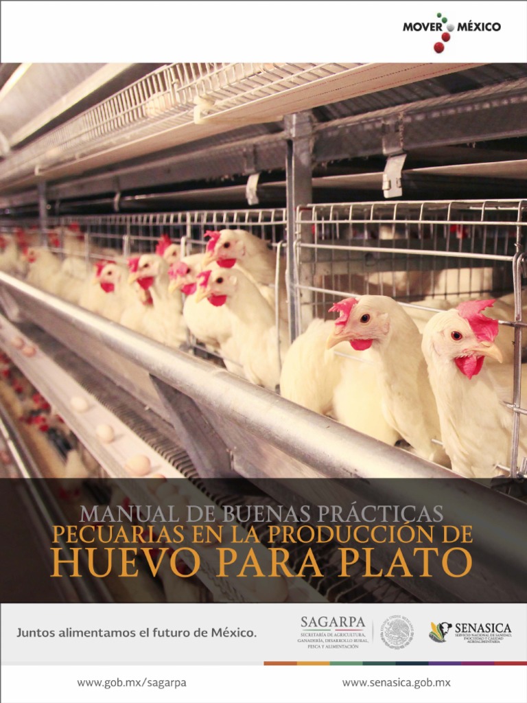 Manual de Buenas PR Cticas Pecuarias de Producci N de Huevo para Plato 4 | PDF | Alimentos | Aves