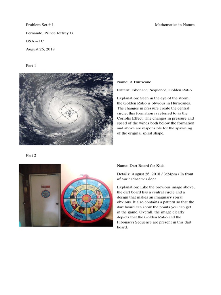 Problem Set 1 MMW | PDF