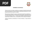Corificación Cadavérica: Proceso y Características | PDF ...