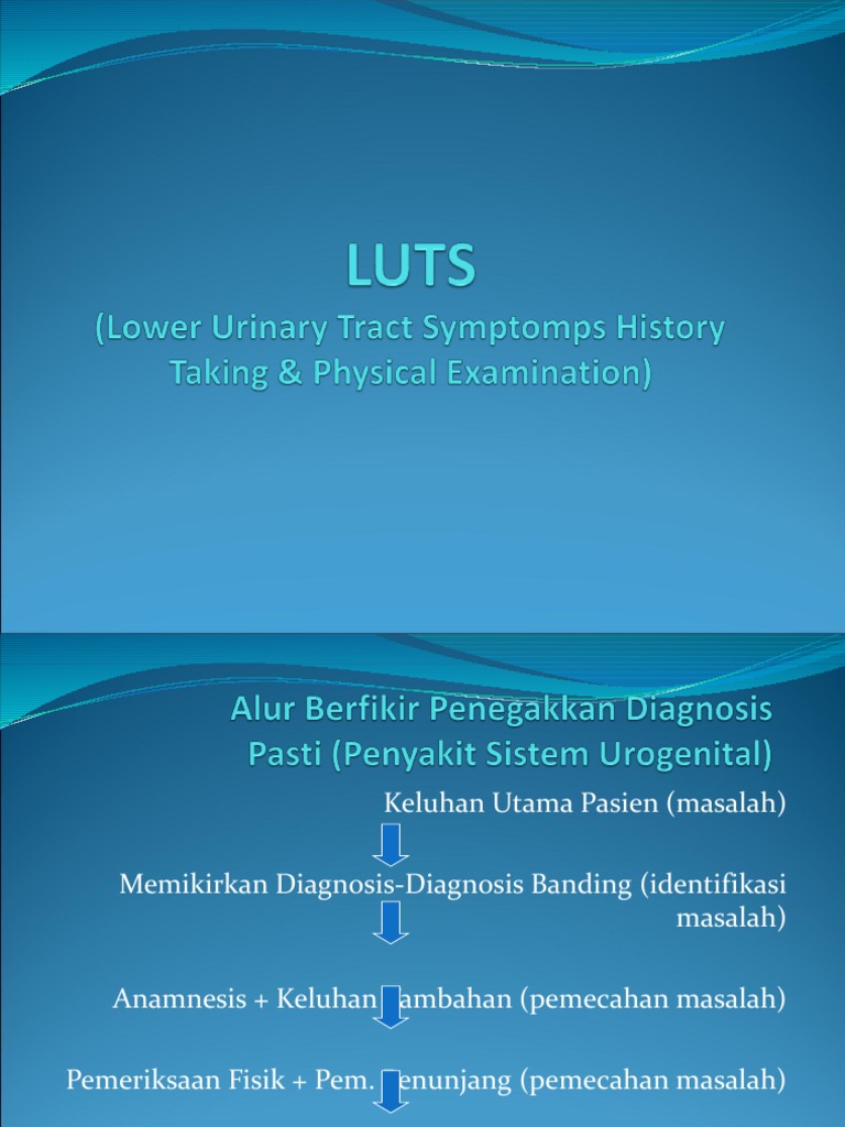 LUTS Bedah Dasar | PDF