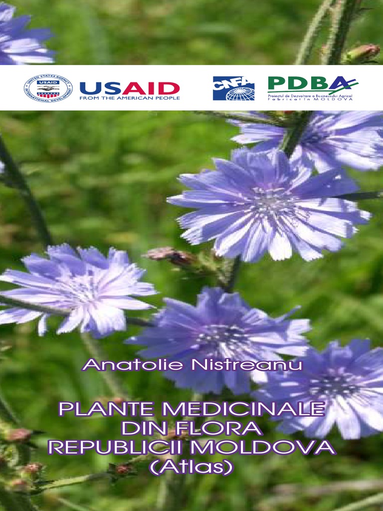 Atlas Plante Medicinale PDF | PDF