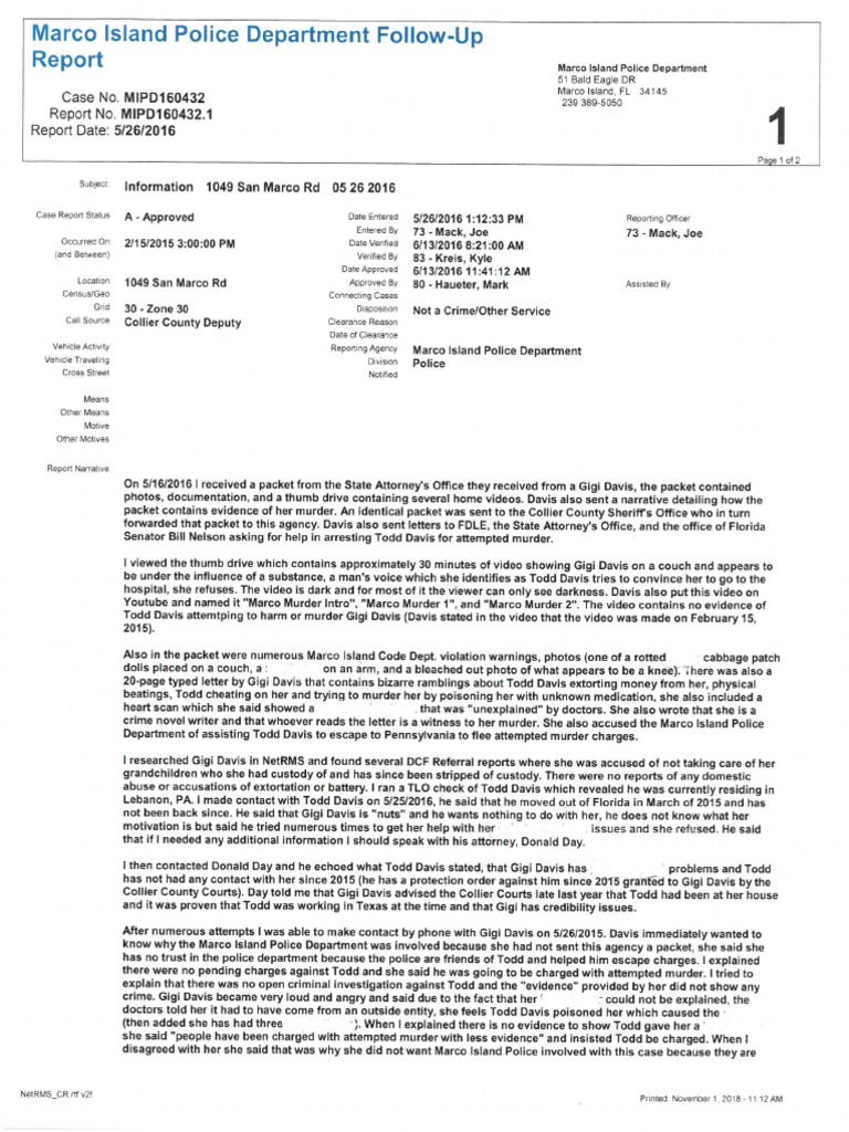 Gigi Davis Police Report | PDF