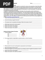 Urinary System | PDF | Kidney | Urinary System