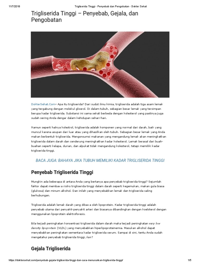 Trigliserida Tinggi - Penyebab Dan Pengobatan - Dokter Sehat | PDF