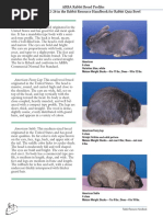 ARBA Official Breed ID Guide Rabbit Breed Showroom Variety Four or Six ...