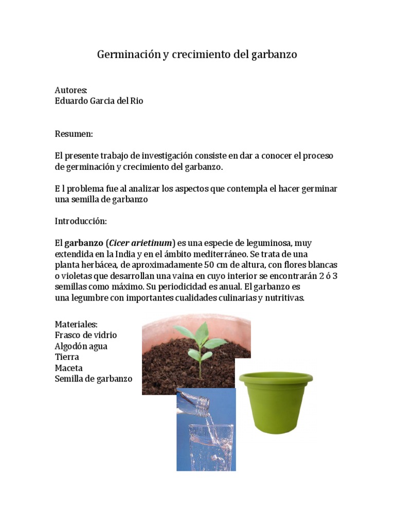 Germinación y Crecimiento Del Garbanzo | PDF