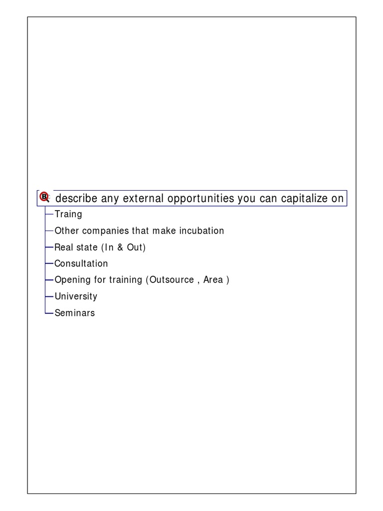 Describe Any External Opportunities You Can Capitalize On | PDF