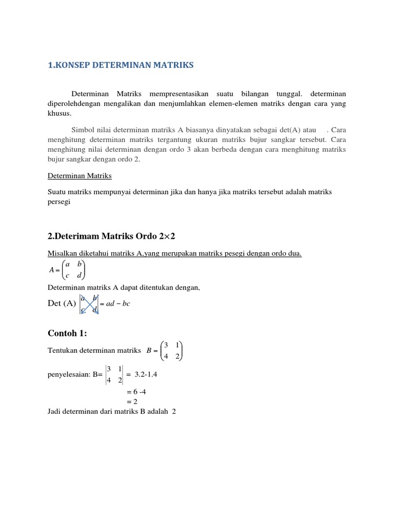 1.konsep Determinan Matriks | PDF