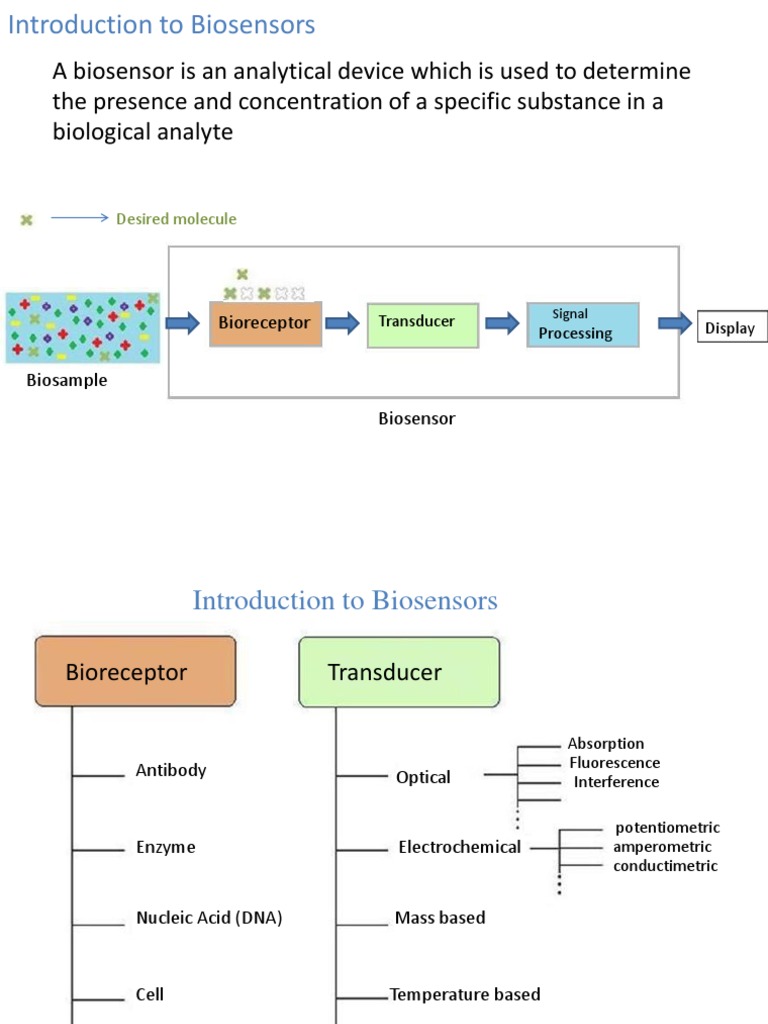 Biosensors: A Beginner's Guide | PDF | Biosensor | Enzyme