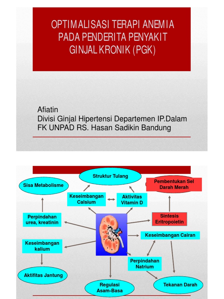 Optimalisasi Therapi Anemia | PDF