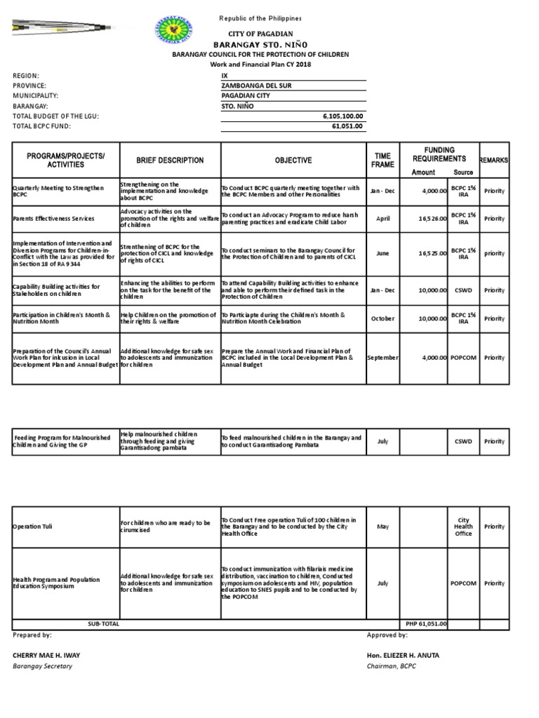 BCPC Work And Financial Plan PDF Health Sciences Public Sphere