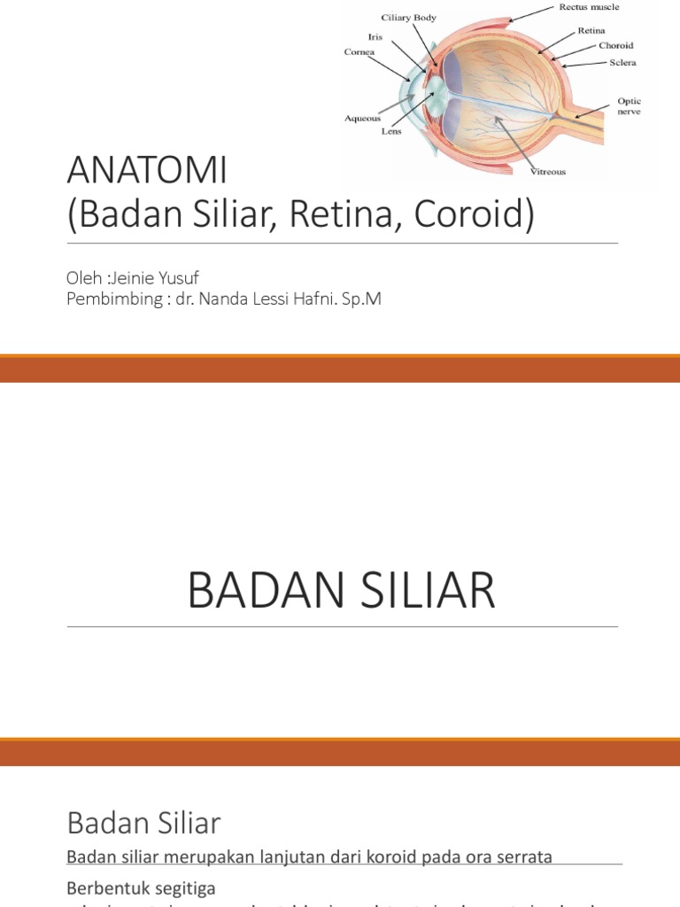 Anatomi Badan Siliar, Koroid, Dan Retina | PDF