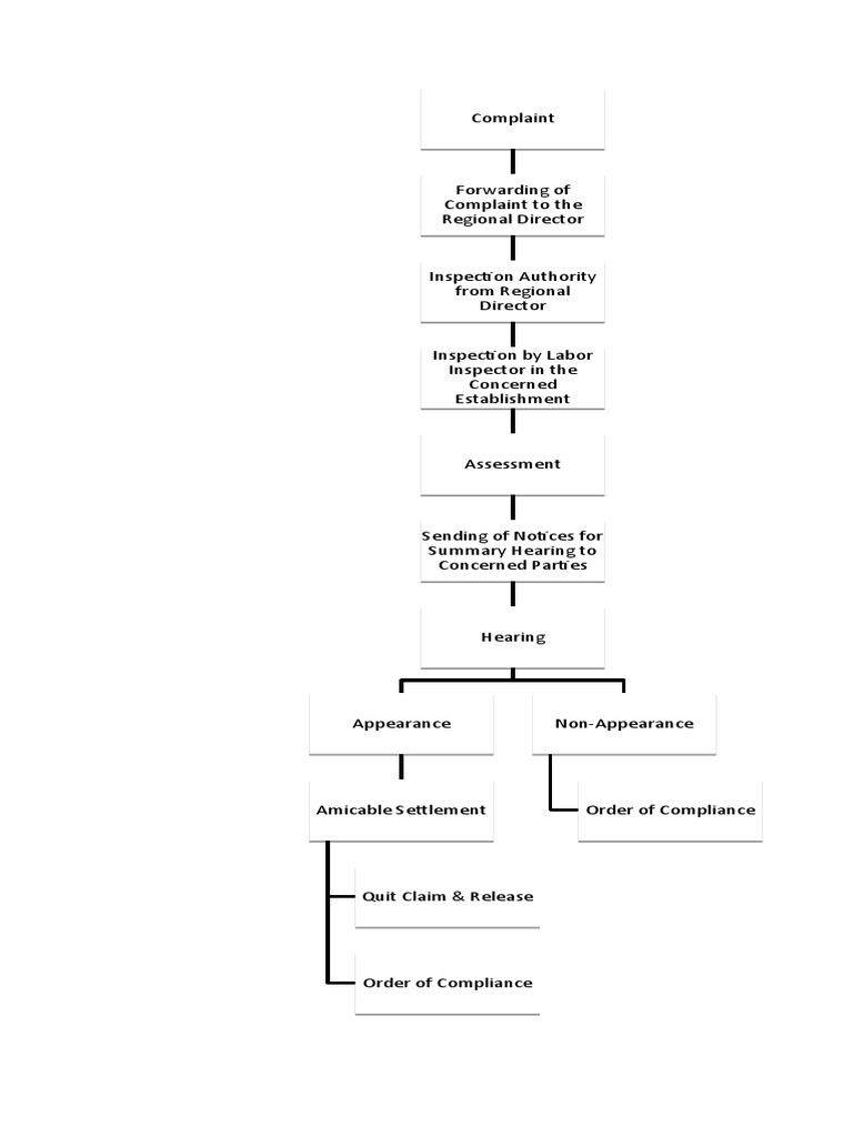 Labor Complaint Process Overview | PDF