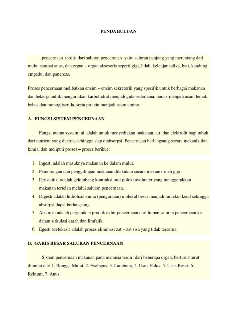 Sistem Pencernaan Manusia | PDF